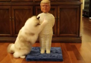 Donald Trump als Kratzpuppe für politisch korrekte Katzen – Tyrosize